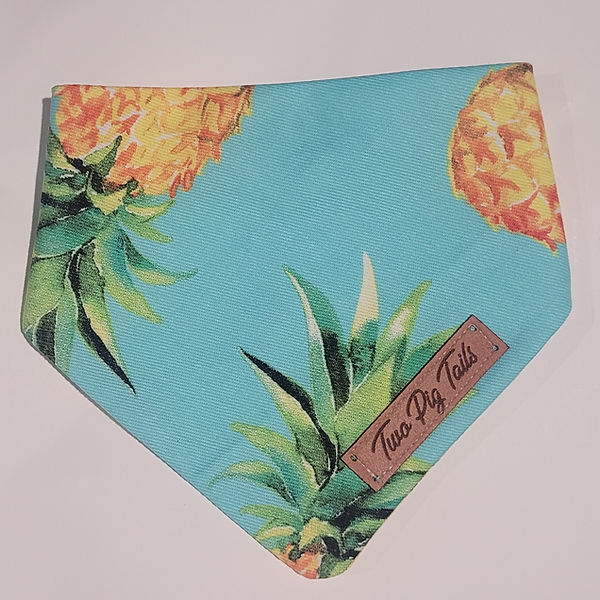 Alex – Two Pig Tails