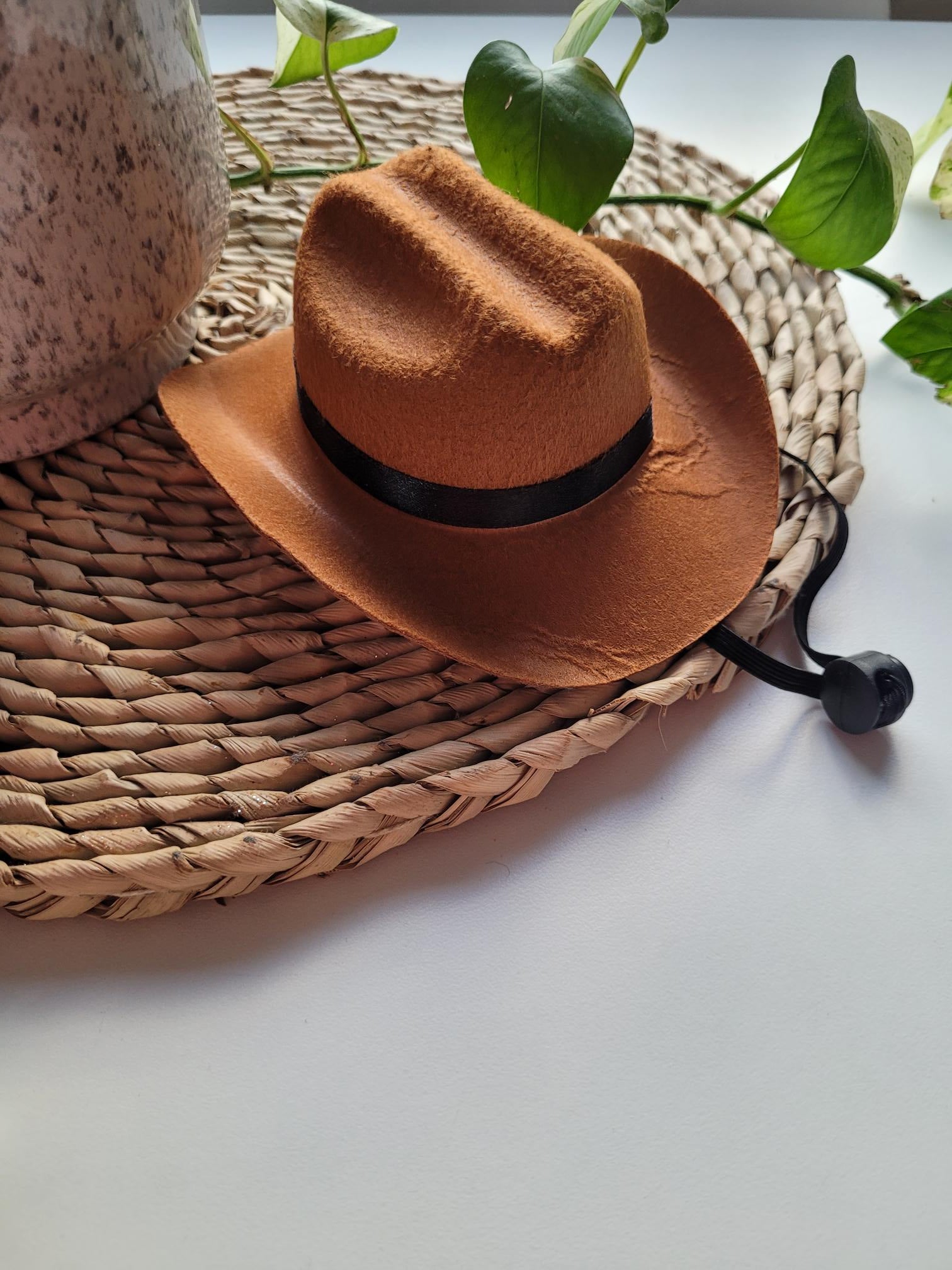 Doggie Cowboy Hat – Two Pig Tails